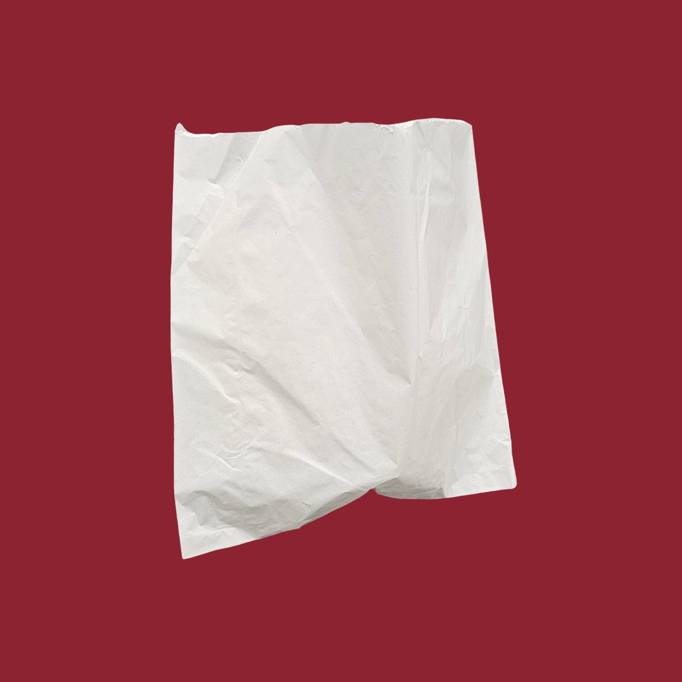 305x305mm White Sulphite Paper Bag - Strung - ESC Packaging
